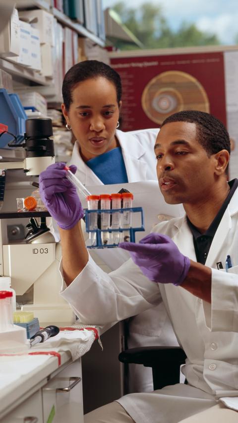 Services | Generunner